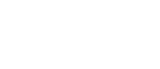 Company - Quantum Circuits